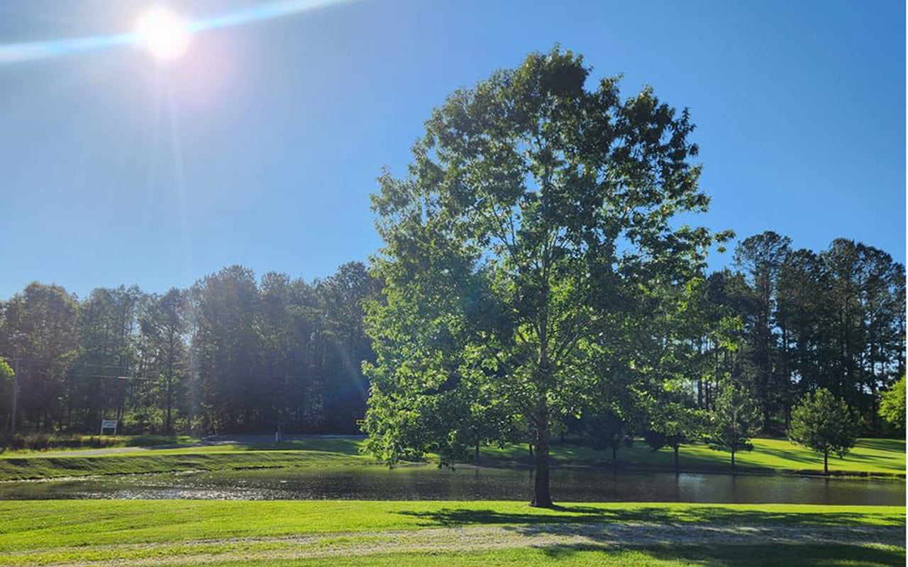 Find Land – Simple Element